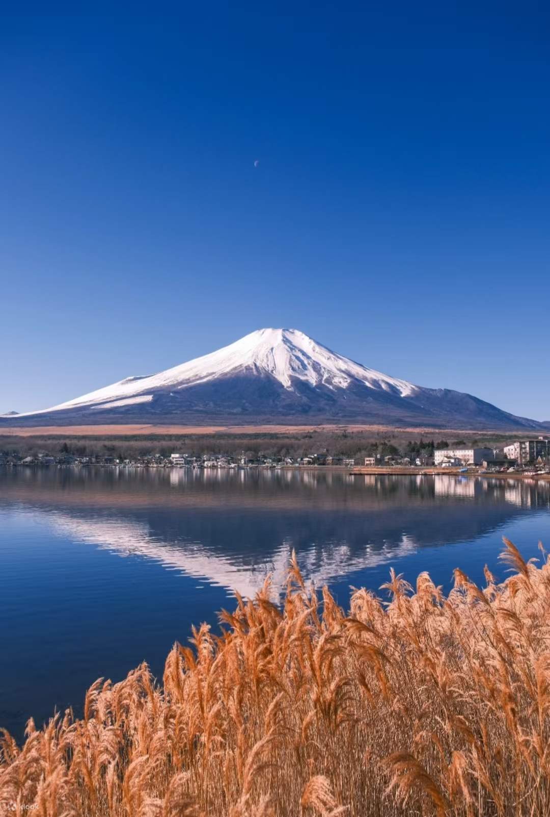 [Mount Fuji Instagram-Worthy Day Trip] Small Group Tour/Photogenic ...
